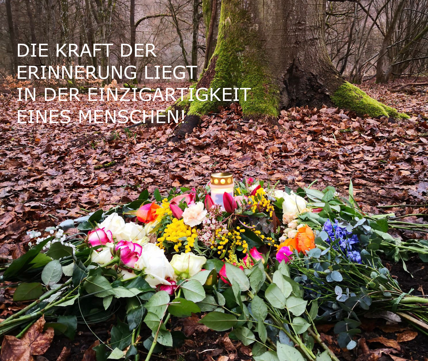 TRAUERREDEN - Sonja Hofmann Coaching